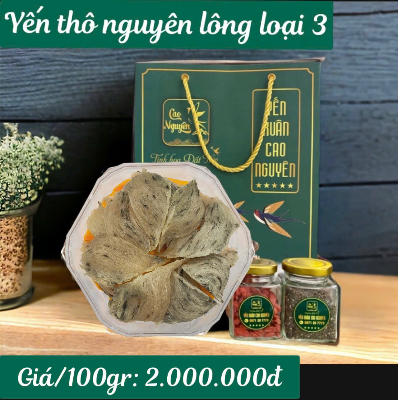 Yến thô nguyên lông loại 3 – Yến Xuân Cao Nguyên